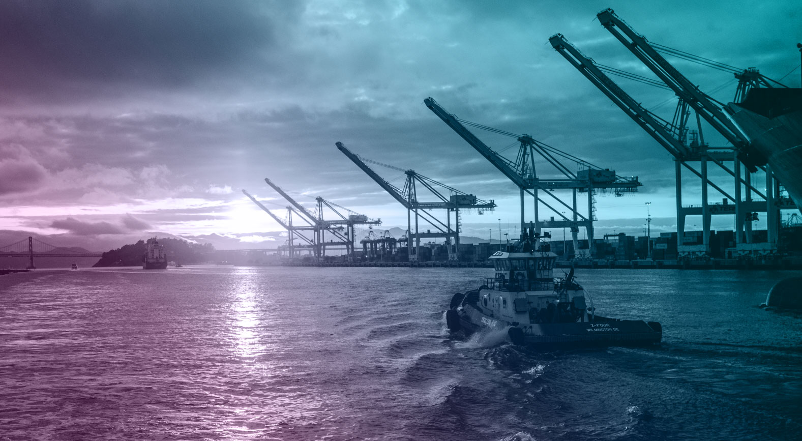 Apollo appoints Caroline Stanley to build out ports and terminals ...