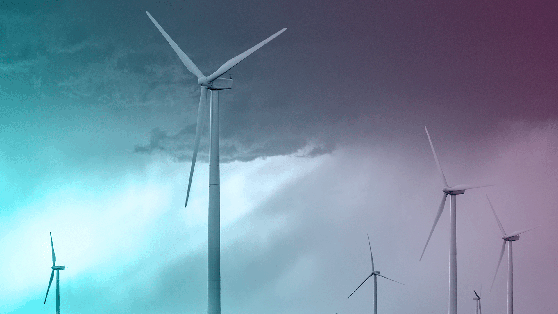 Apollo appoints Steve Portman as Head of Energy – Apollo Group